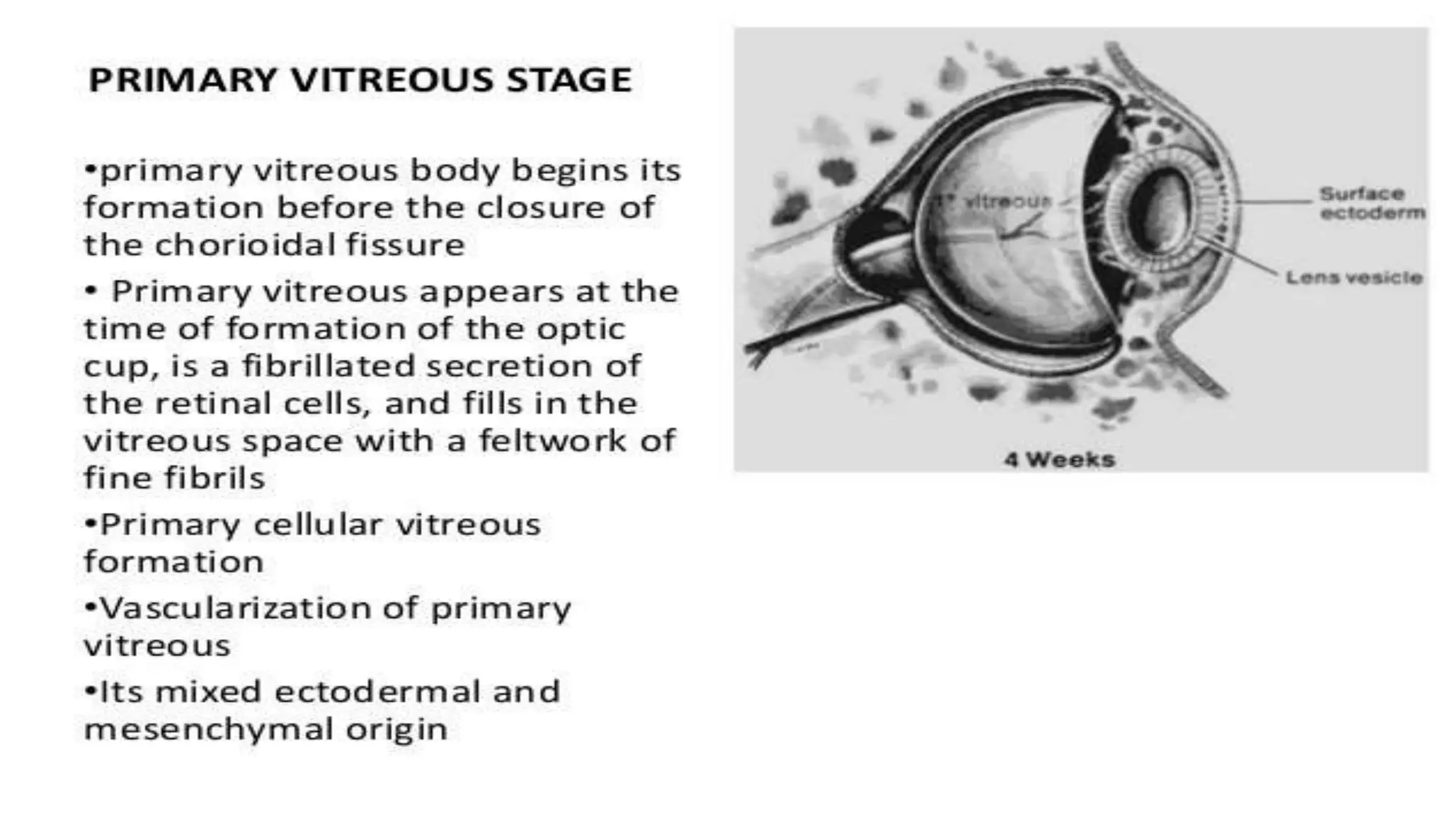 Vitreous humour of eye | PPTX