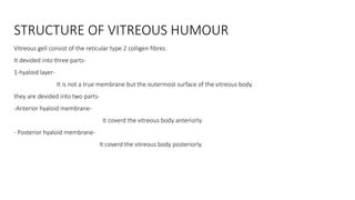 Vitreous humour of eye | PPTX