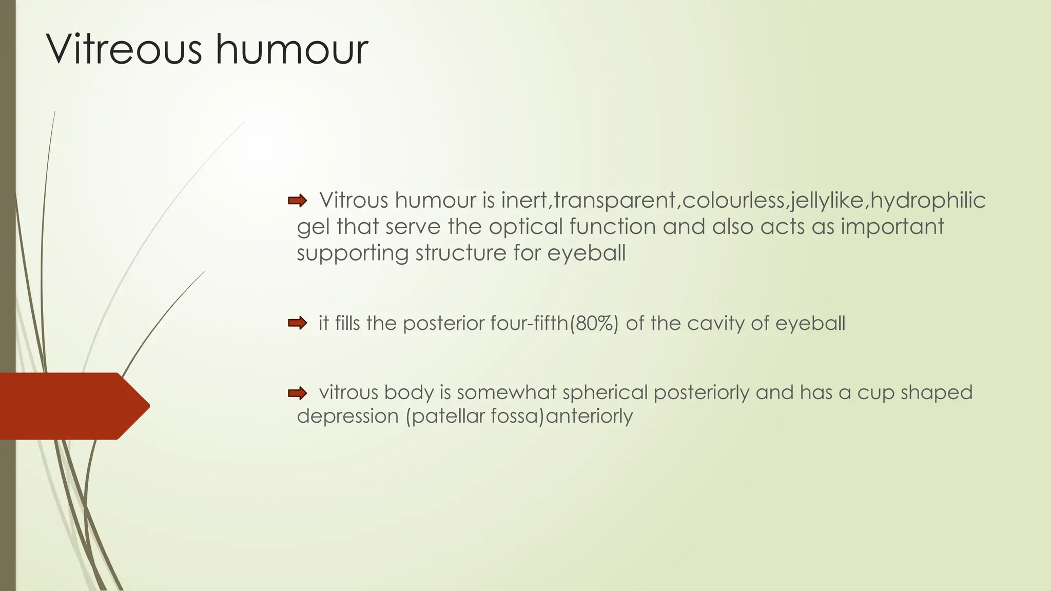 VITREOUS HUMOURS PPTX BY. . . | PPTX