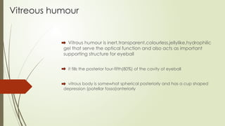 VITREOUS HUMOURS PPTX BY. . . | PPTX