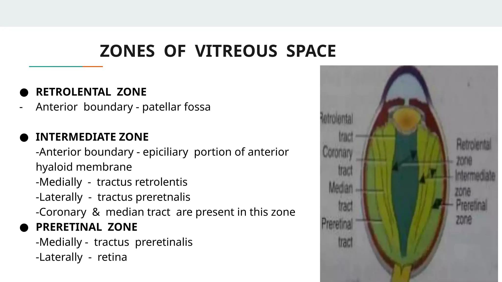 VITREOUS LOSS secondary to cataract surgery | PPTX
