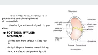 VITREOUS LOSS secondary to cataract surgery | PPTX