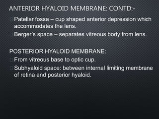 Vitreous new.pptx 1 | PPTX