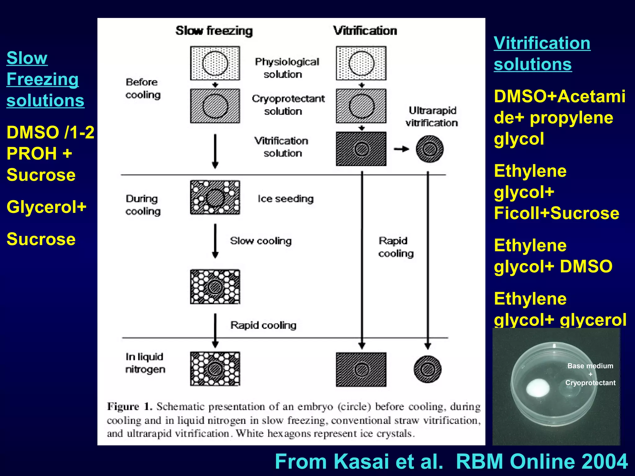 Vitrification of blastocyst stage embryos | PPT