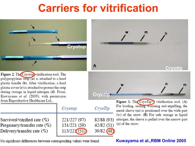 Vitrification of blastocyst stage embryos | PPT