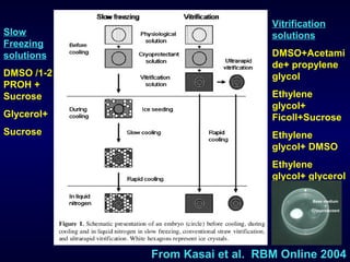 Vitrification of blastocyst stage embryos | PPT