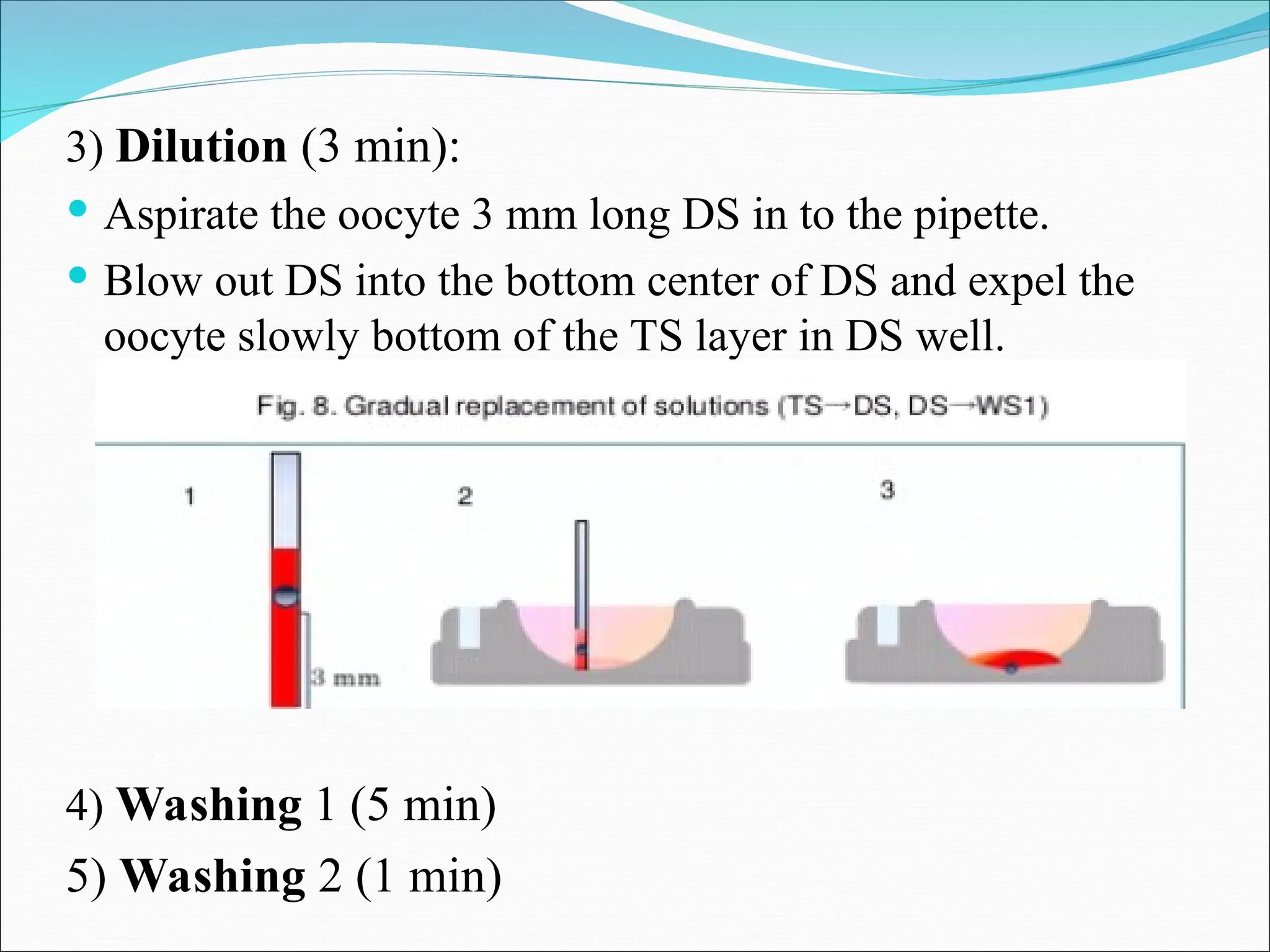 Vitrification of oocytes ppt | PPT