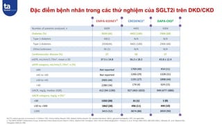 Vi tri SGLT2i va DPP4i trong dieu tri benh than DTD.pptx