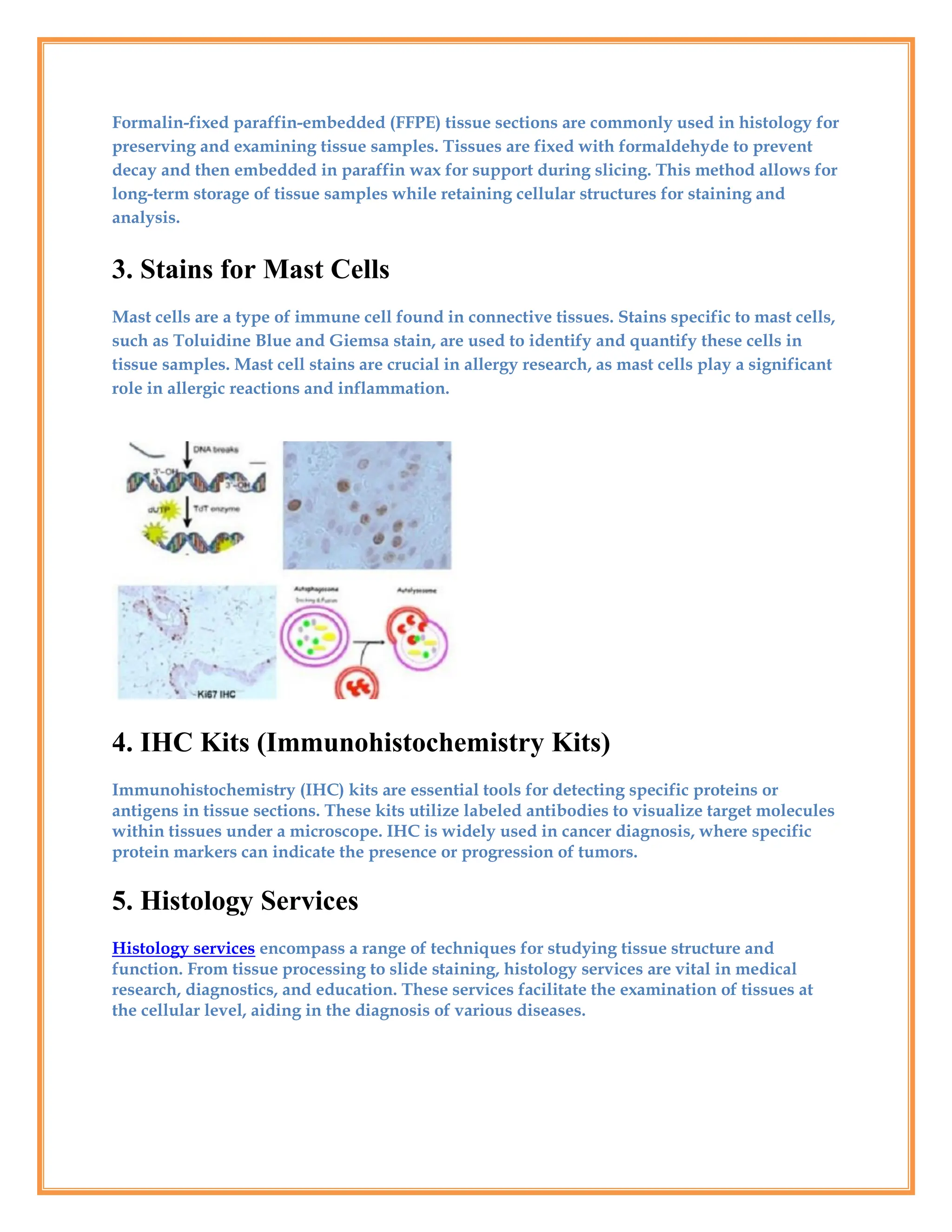 Histochemical Stains: Enhancing Understanding of Tissue Biology | PDF