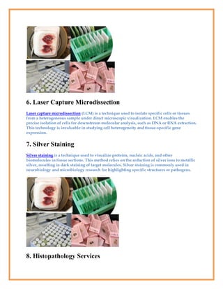 Histochemical Stains: Enhancing Understanding of Tissue Biology | PDF