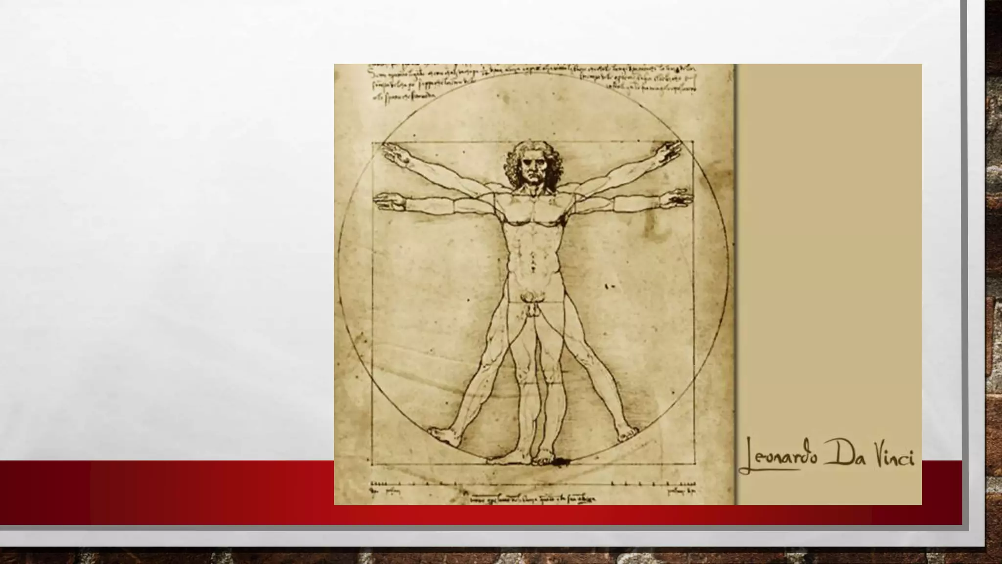Vitruvian man | PPTX