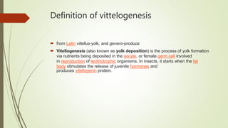 vittelogenesis.pptx