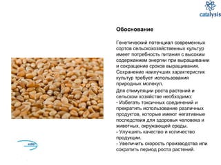 Виусид Агро (VIUSID AGRO) — Стимулятор роста растений | PPTX