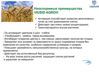 Виусид Агро (VIUSID AGRO) — Стимулятор роста растений | PPTX