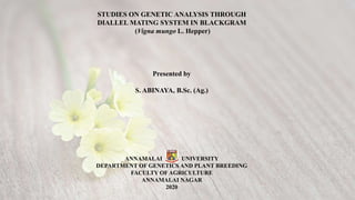 Diallel analysis in blackgram M.sc agri thesis viva | PPTX