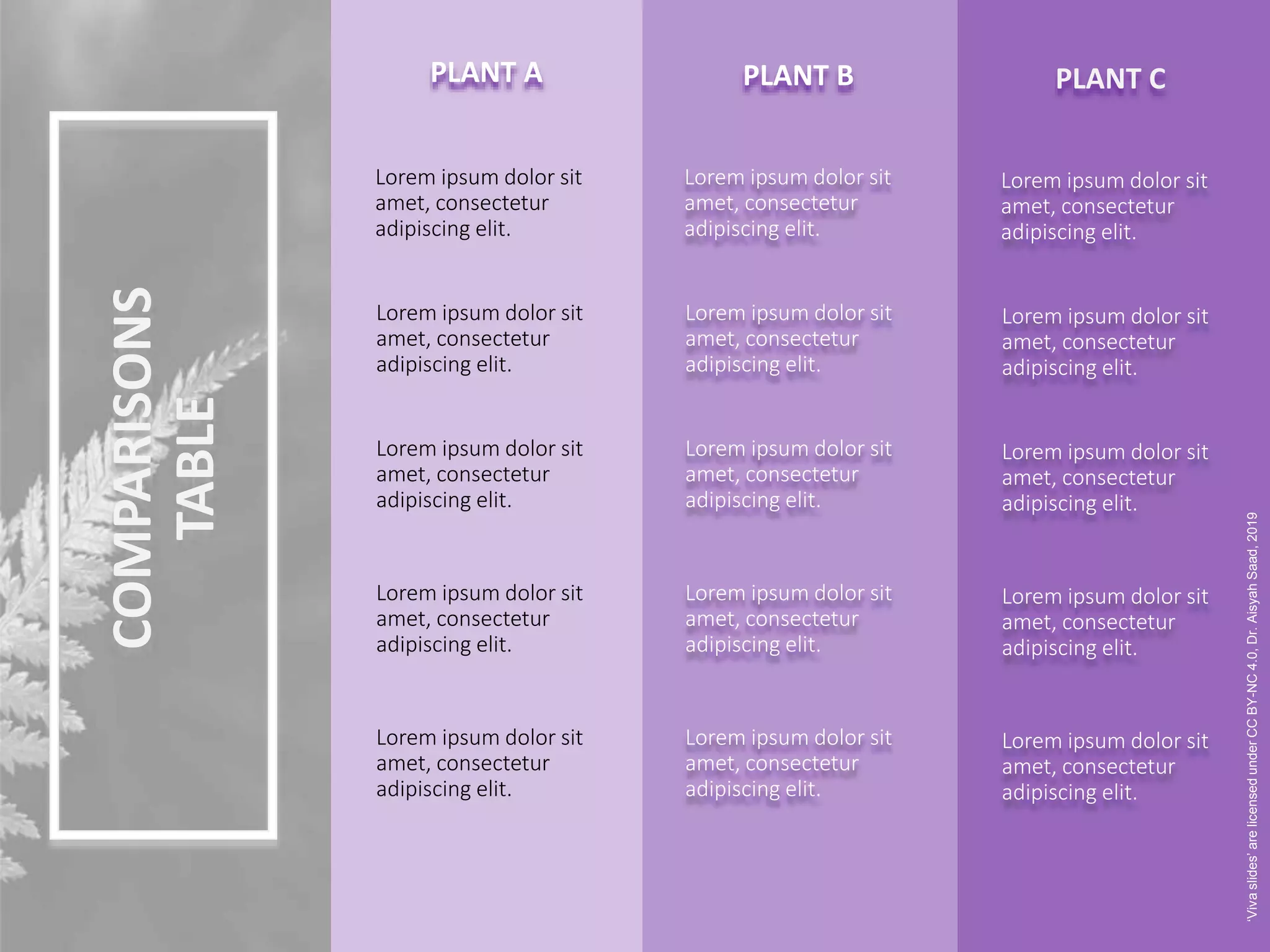 Free VIVA Presentation Templates | 5 Comparisons, Signifance and ...