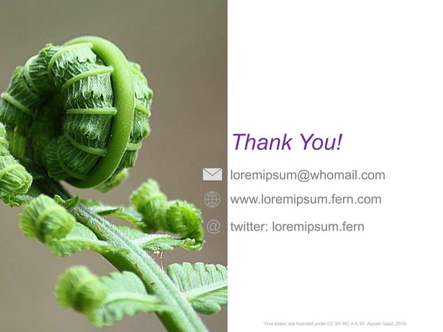 Free VIVA Presentation Templates | 6Thank you | PPTX