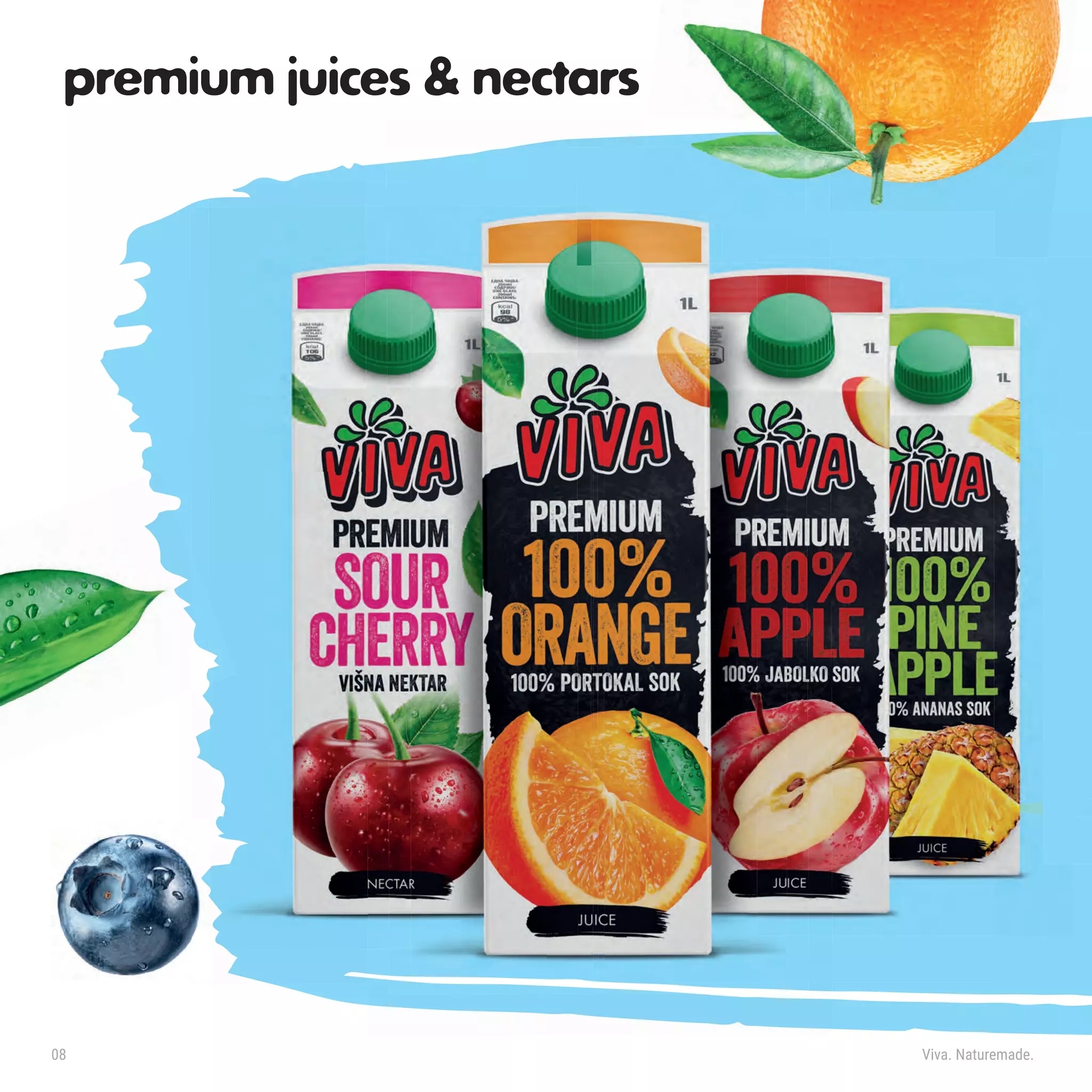 VIVA Company Product Catalogue.pdf