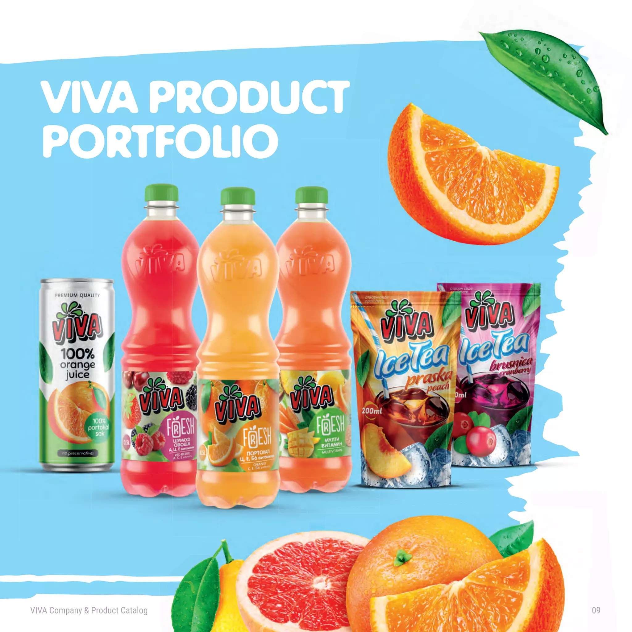 VIVA Company Product Catalogue.pdf