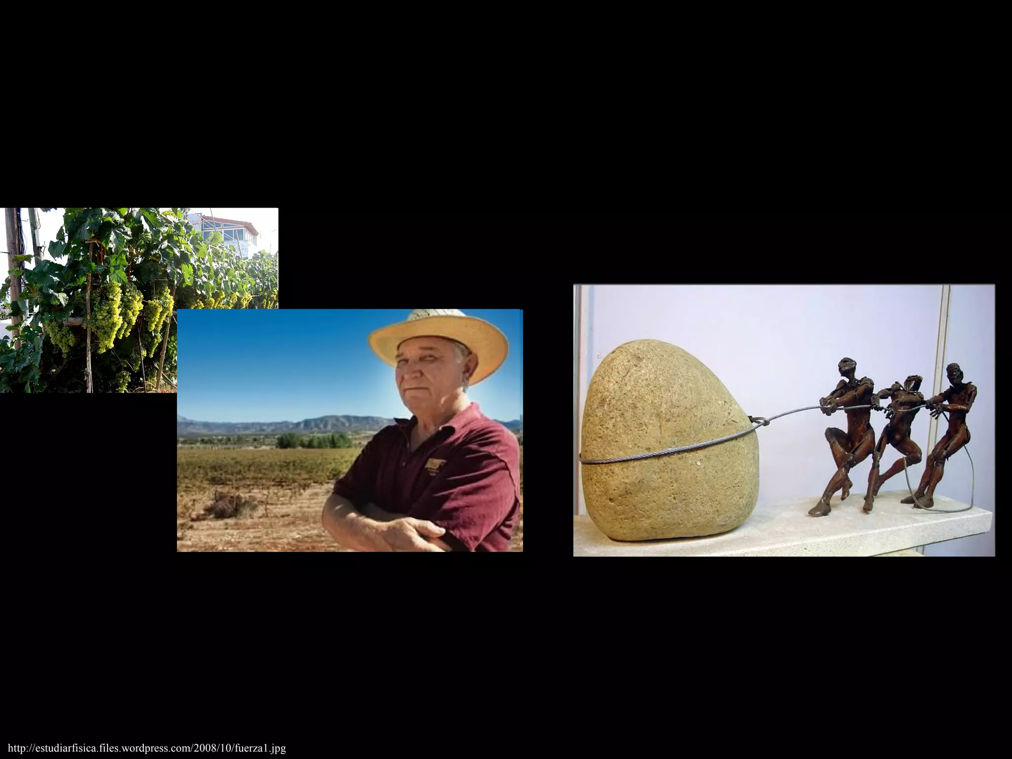 Viva la causa! formacion de frases | PPT