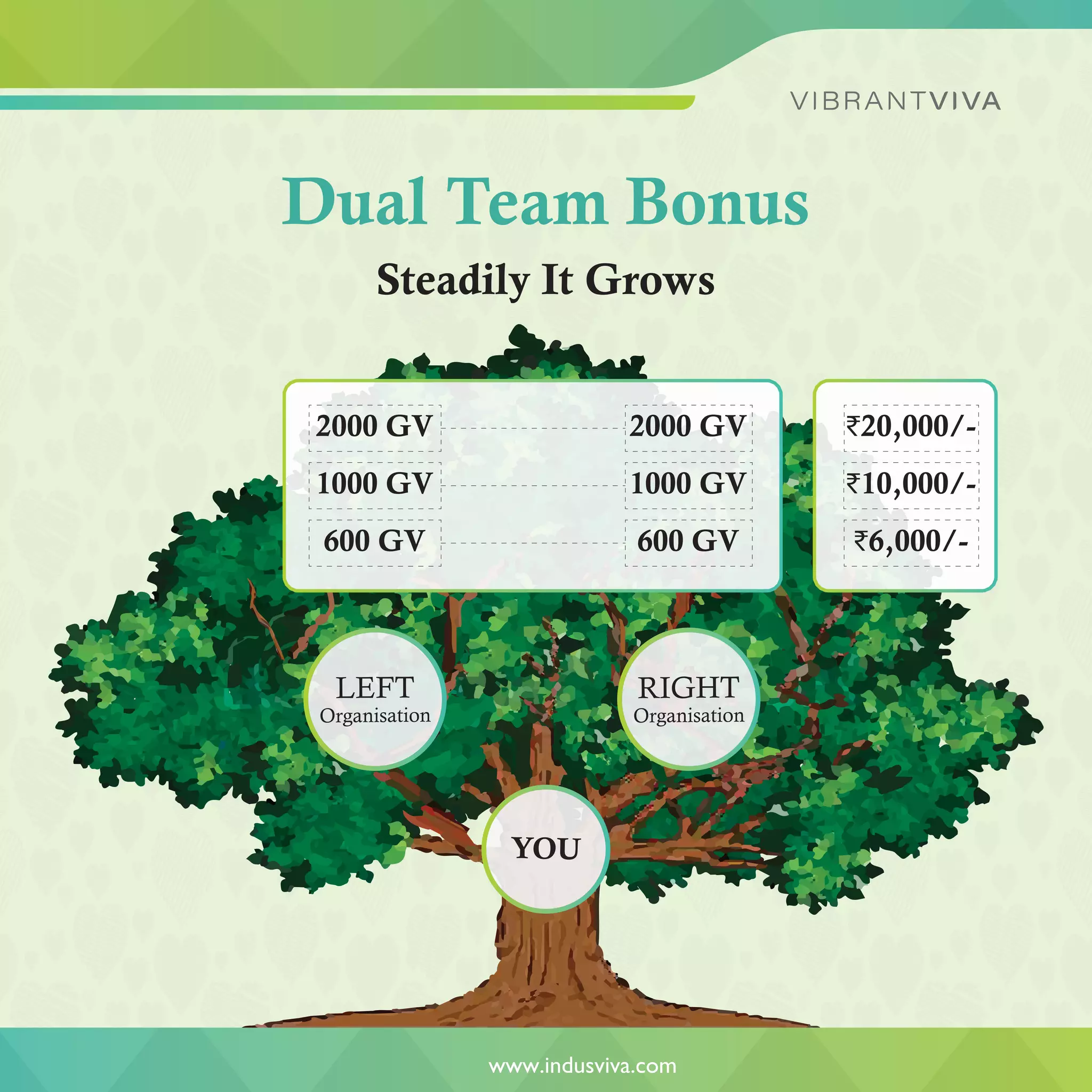 IndusViva Business plan india 2020 | PDF