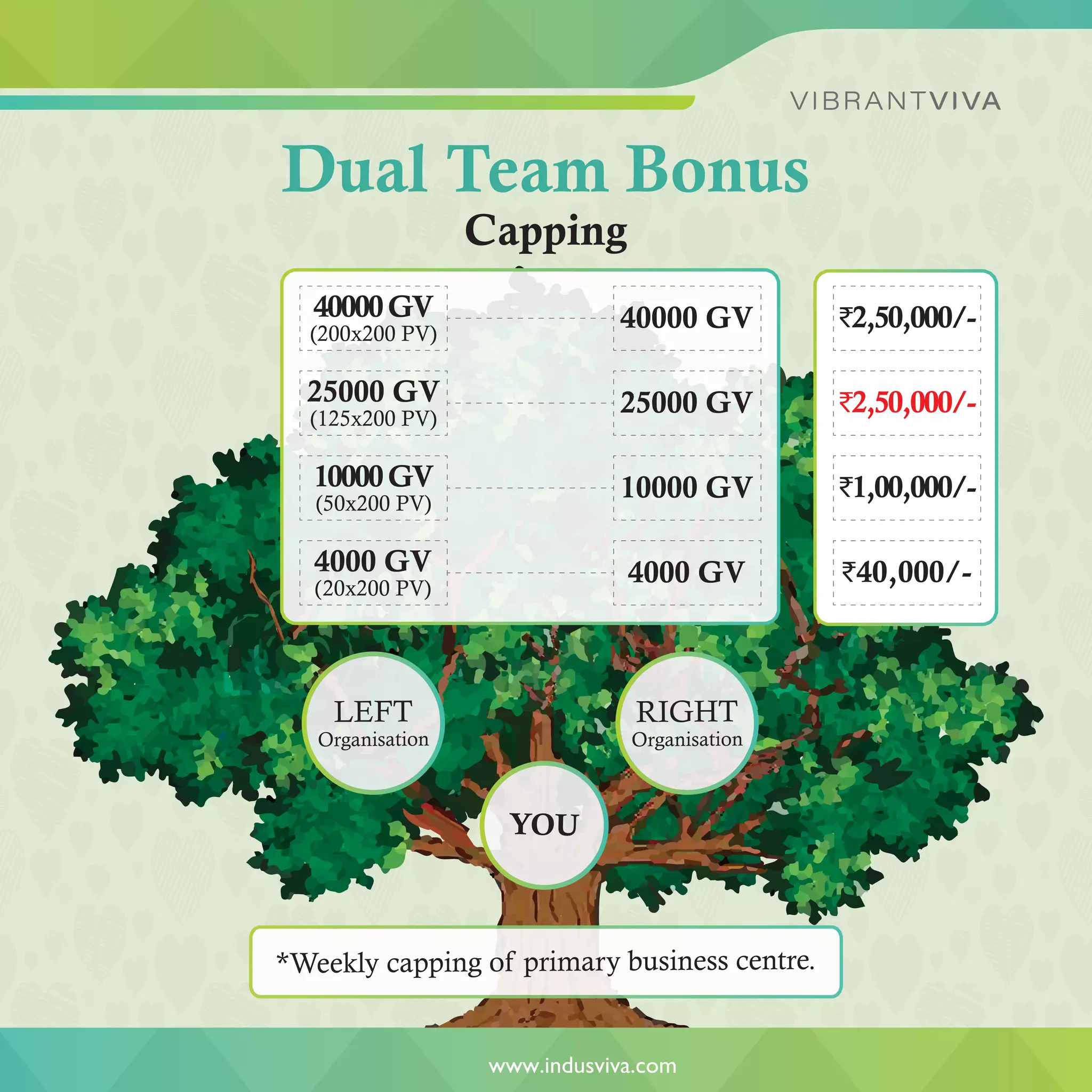 IndusViva Business plan india 2020 | PDF