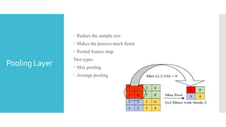 x-RAYS PROJECT | PPTX