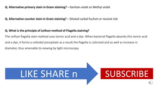 viva questions on staining techniques.pptx