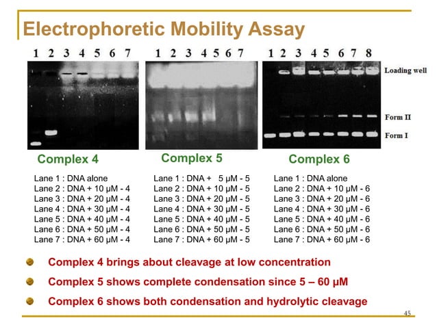 Copper(II) complexes as Anticancer agents | PDF | Chemistry | Science