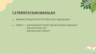 viva seni sem 3.pptx