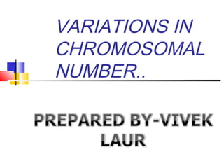 chromosomes | PPT