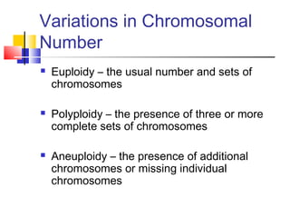 chromosomes | PPT