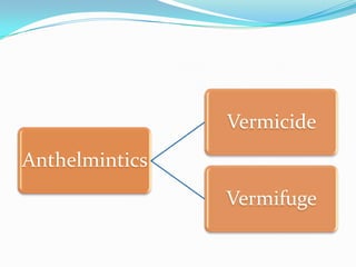 ANTI-HELMINTHIC DRUGS | PPTX