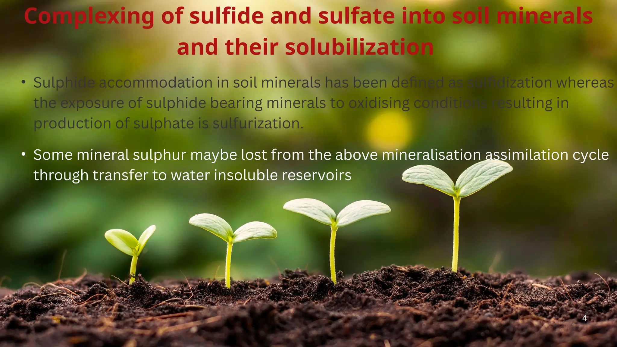 Sufur important bacteria and their functions, Application | PPTX