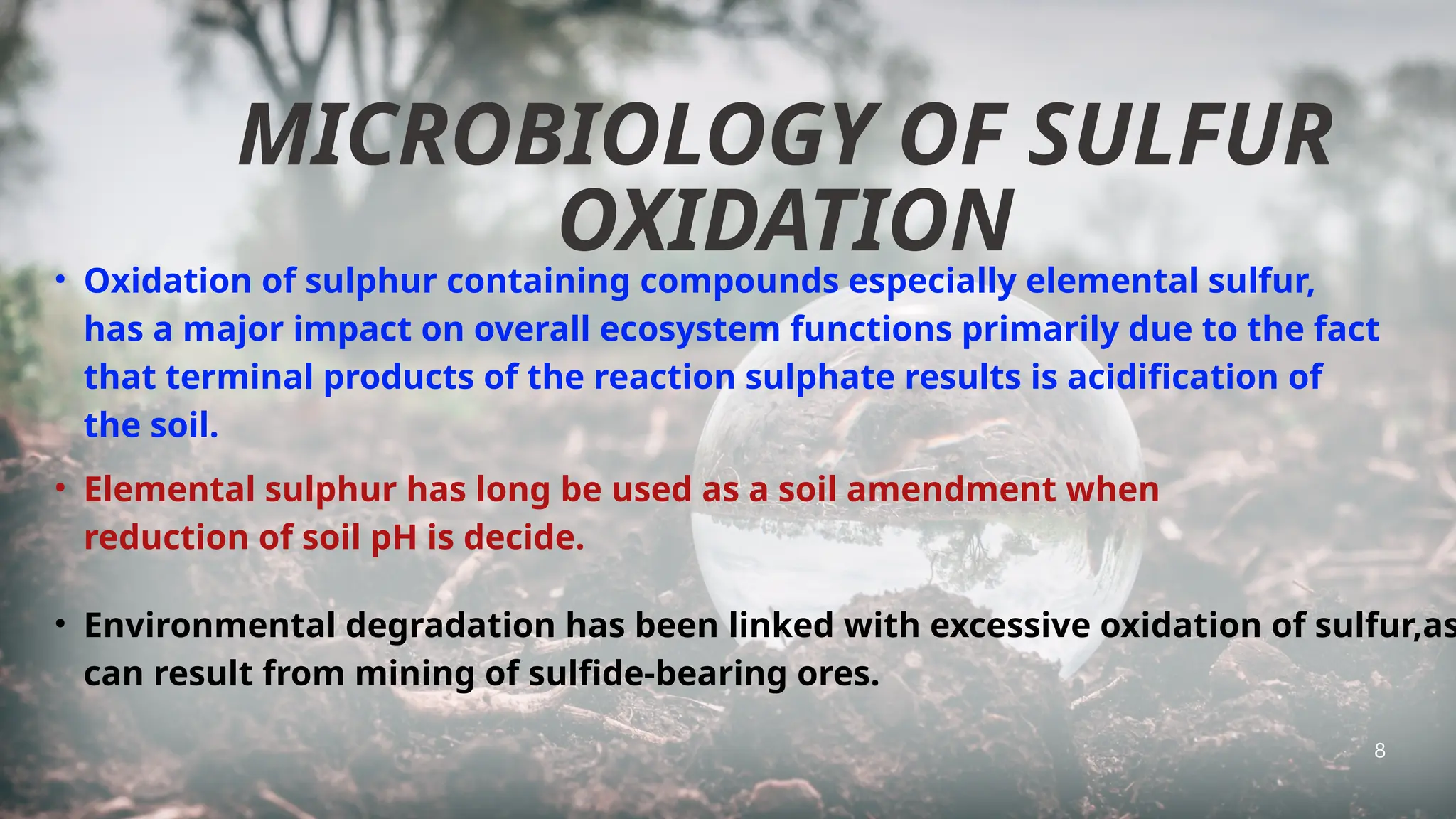 Sufur important bacteria and their functions, Application | PPTX
