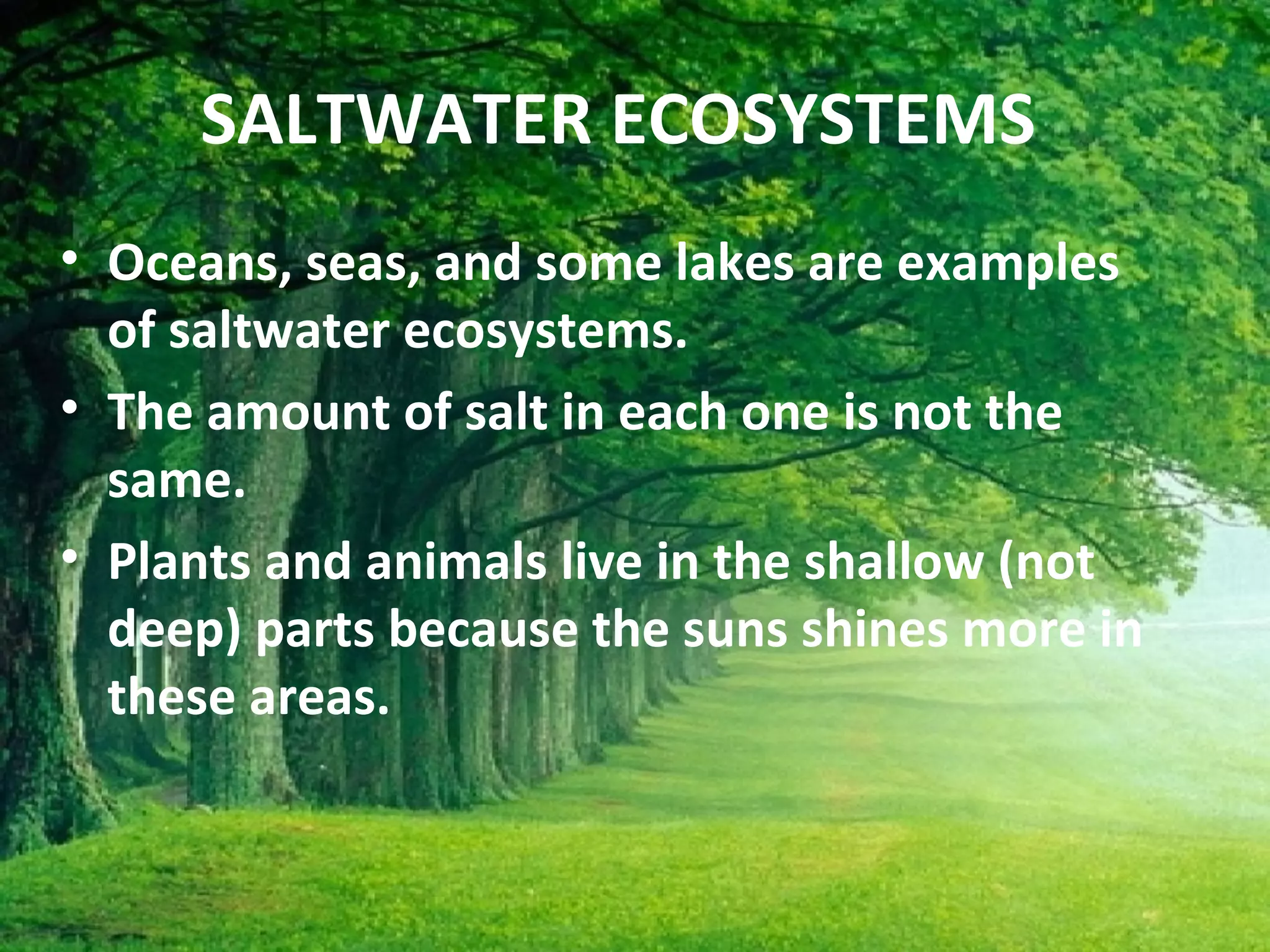 Vivek ecosystem h2 o, carbon cycle & energy flow | PPT