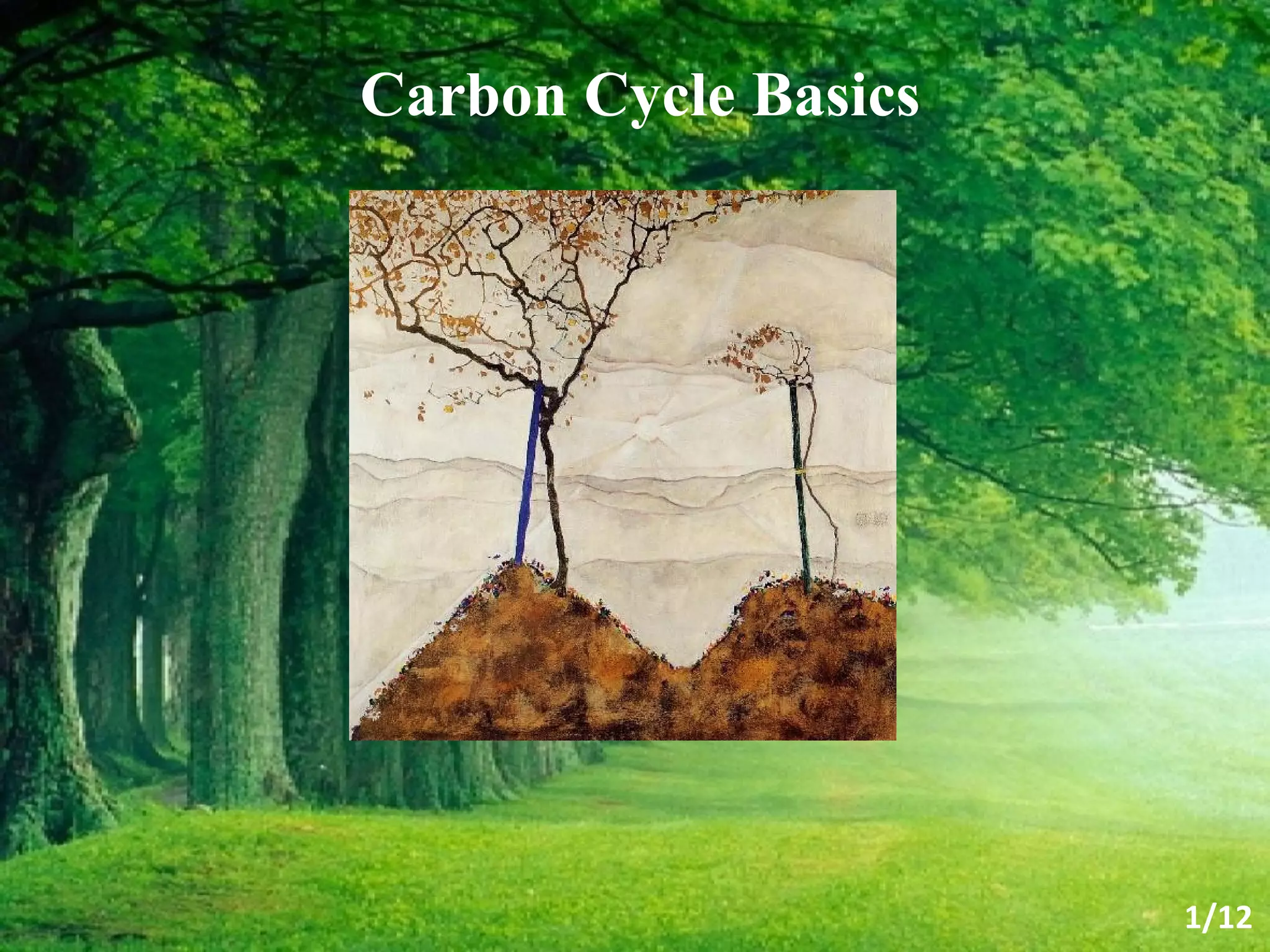 Vivek ecosystem h2 o, carbon cycle & energy flow | PPT