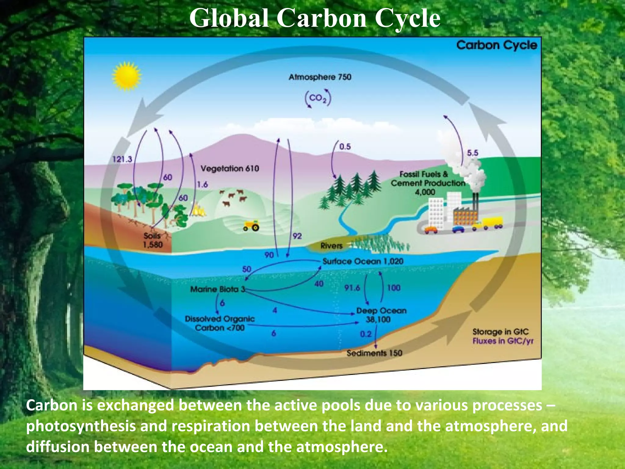 Vivek ecosystem h2 o, carbon cycle & energy flow | PPT