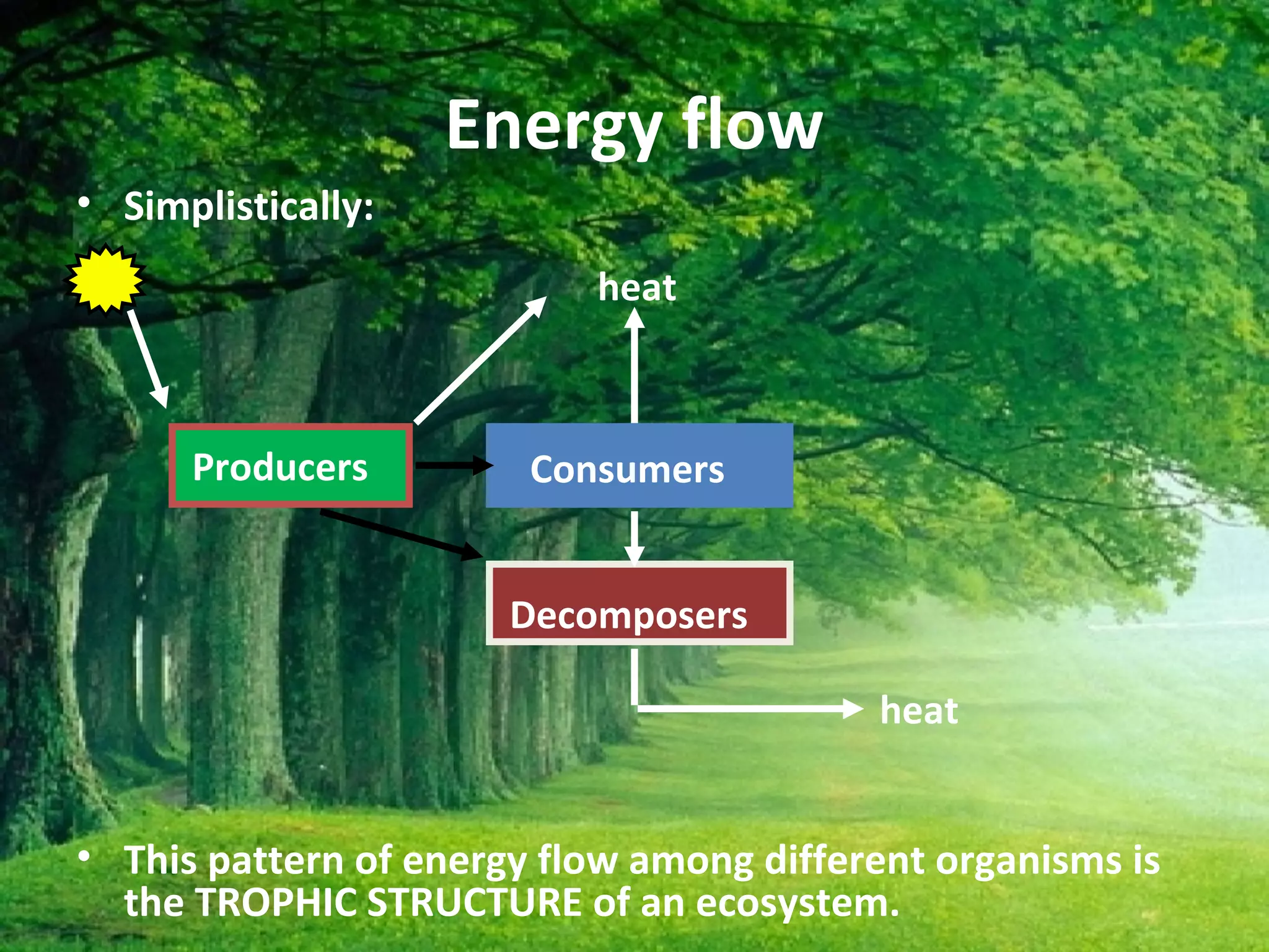Vivek ecosystem h2 o, carbon cycle & energy flow | PPT