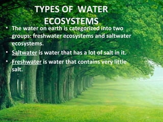 Vivek ecosystem h2 o, carbon cycle & energy flow | PPT