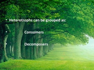 Vivek ecosystem h2 o, carbon cycle & energy flow | PPT