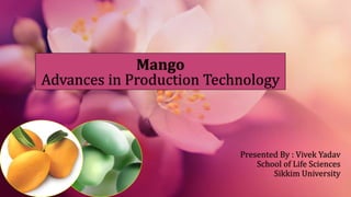 Vivek final mango | PPT