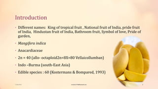 Vivek final mango | PPT