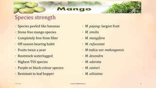 Vivek final mango | PPT