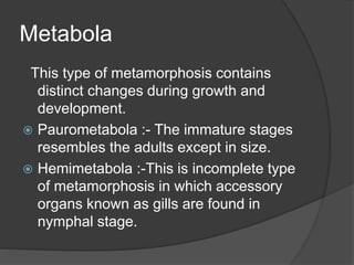 Metamorphosis in horticulture pest | PPTX | Biological Sciences | Science