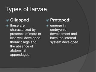 Metamorphosis in horticulture pest | PPTX