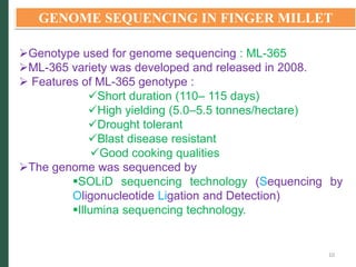 Genome Sequencing in Finger Millet | PPT