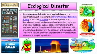 Man Made Disasters | PPTX