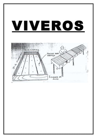 Vivero forestal | DOC