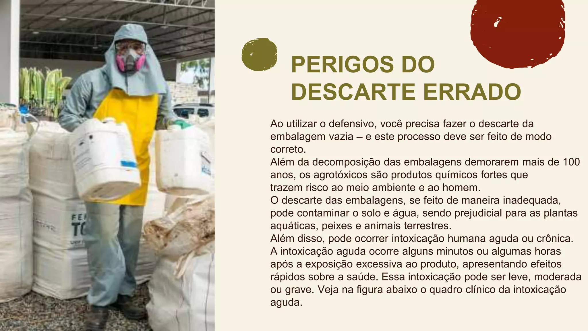 Descarte Correto de Embalagens de agrotóxicos | PPTX